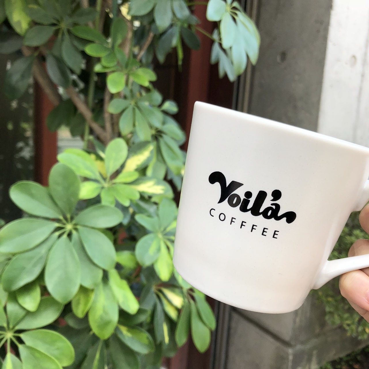 私とVOILA COFFEEの毎日 | VOILA COFFEE（ヴォアラ珈琲）