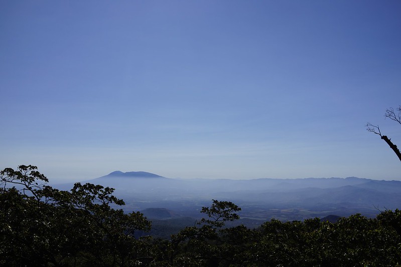 残り物に福が無い？ | VOILA COFFEE（ヴォアラ珈琲）