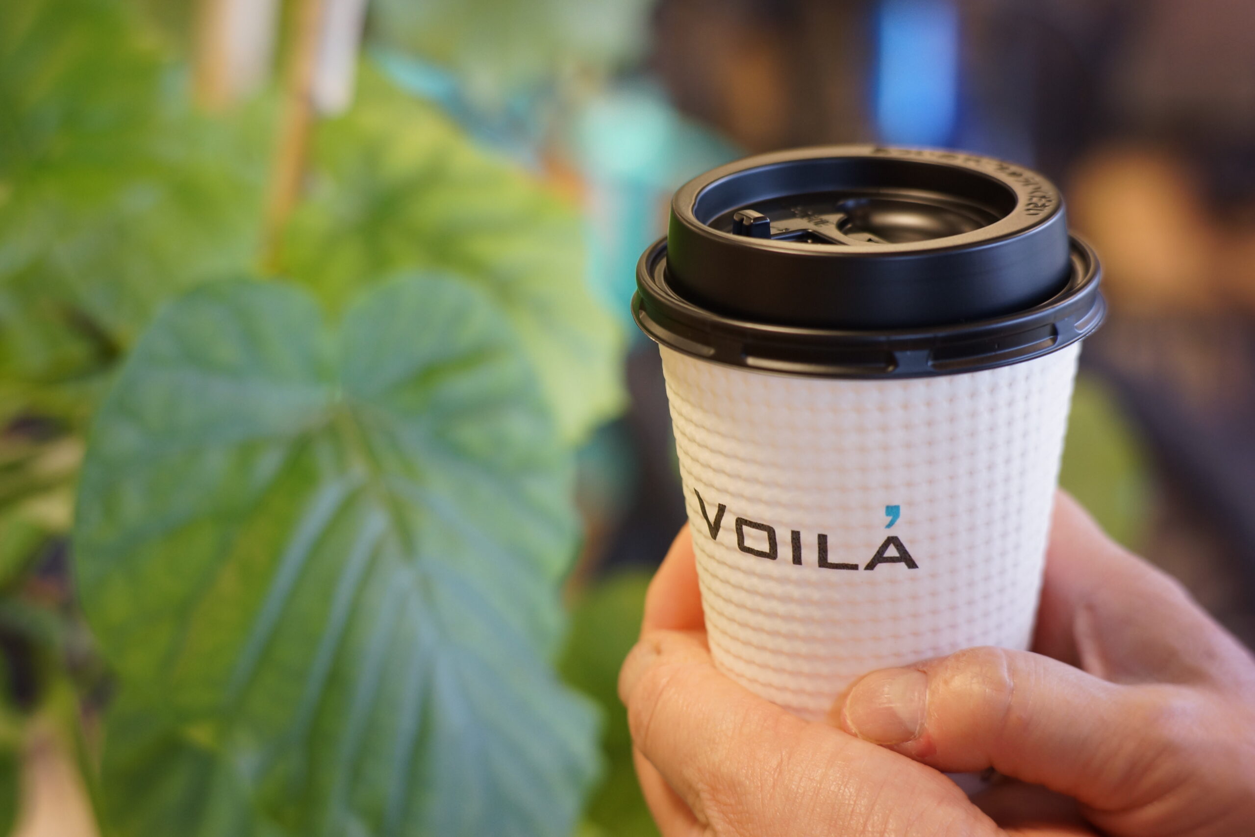 鹿児島市内店舗 フルタイムスタッフの募集を開始しました！ | VOILA COFFEE（ヴォアラ珈琲）